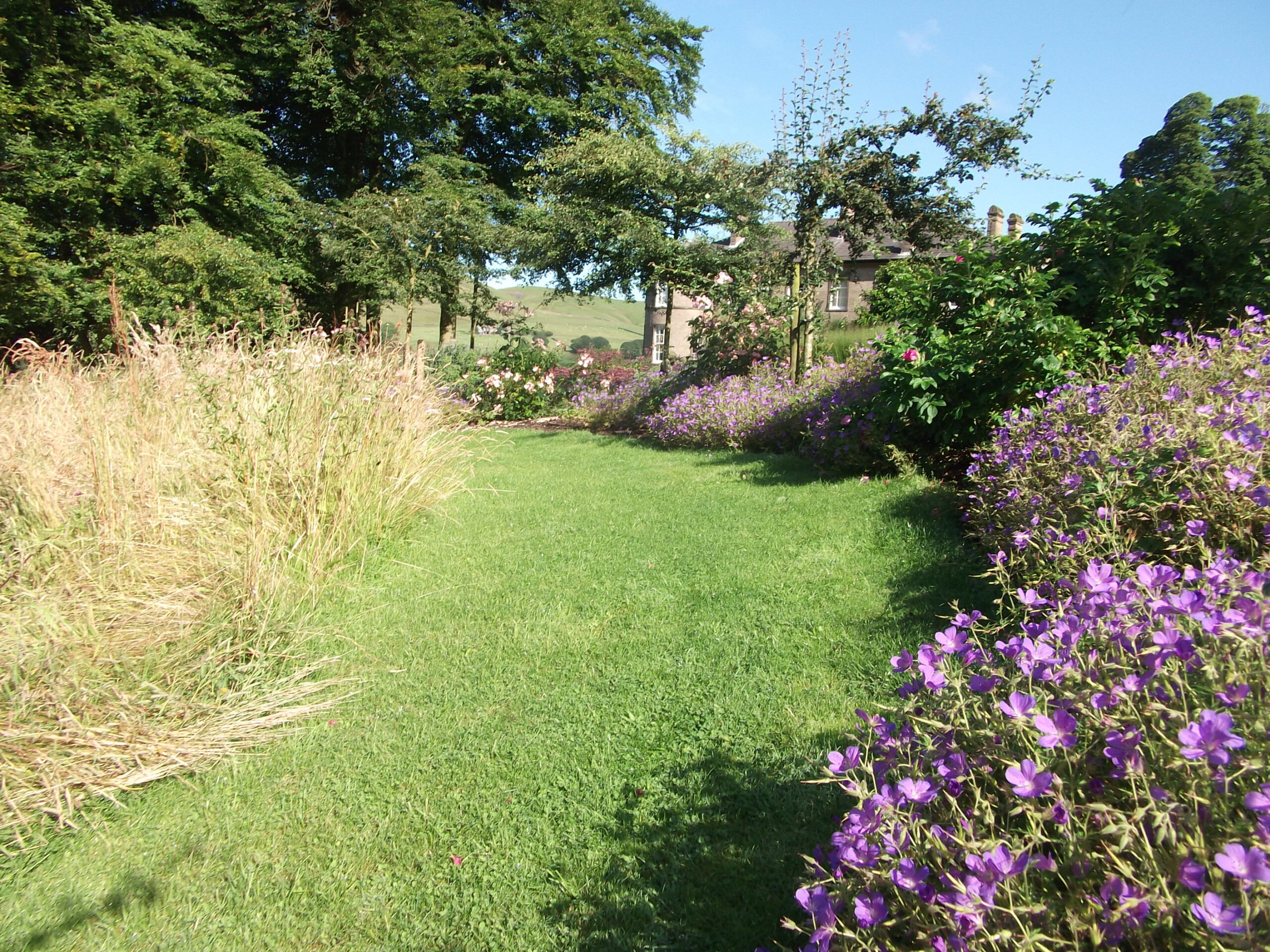 Wild meadow garden in summer - Plunket Gardens | Garden Designer London